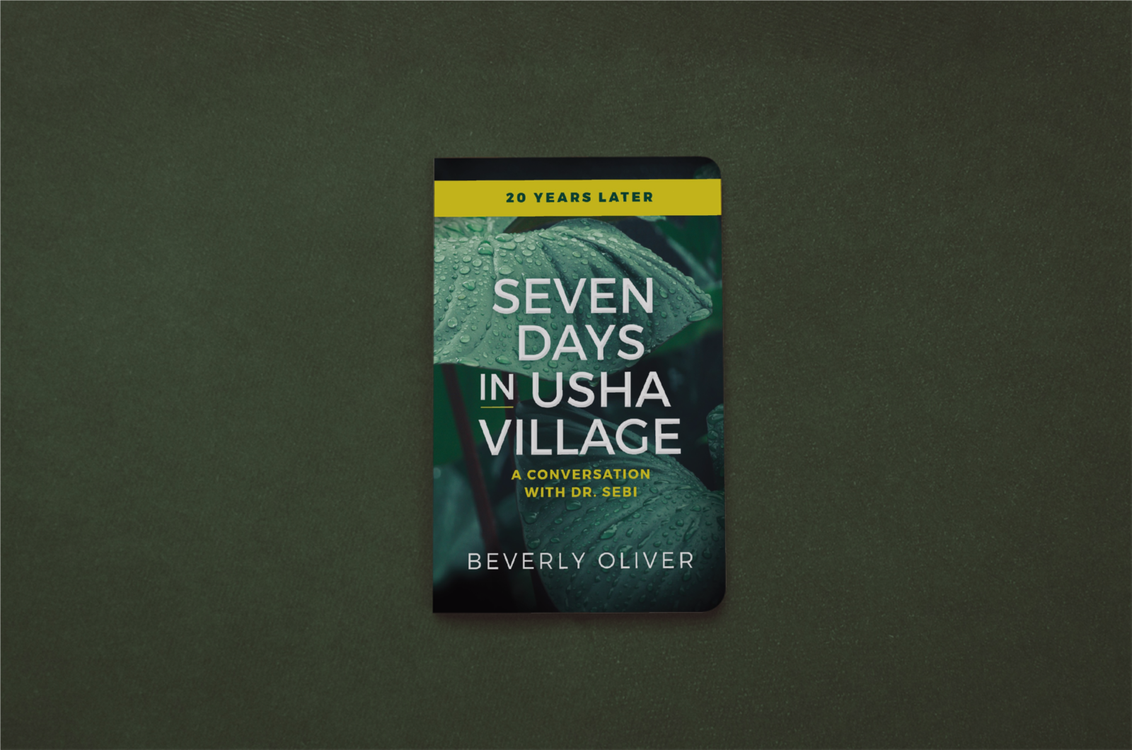 Seven Days in Usha Village: A Conversation With Dr. Sebi 20 Years Later ...